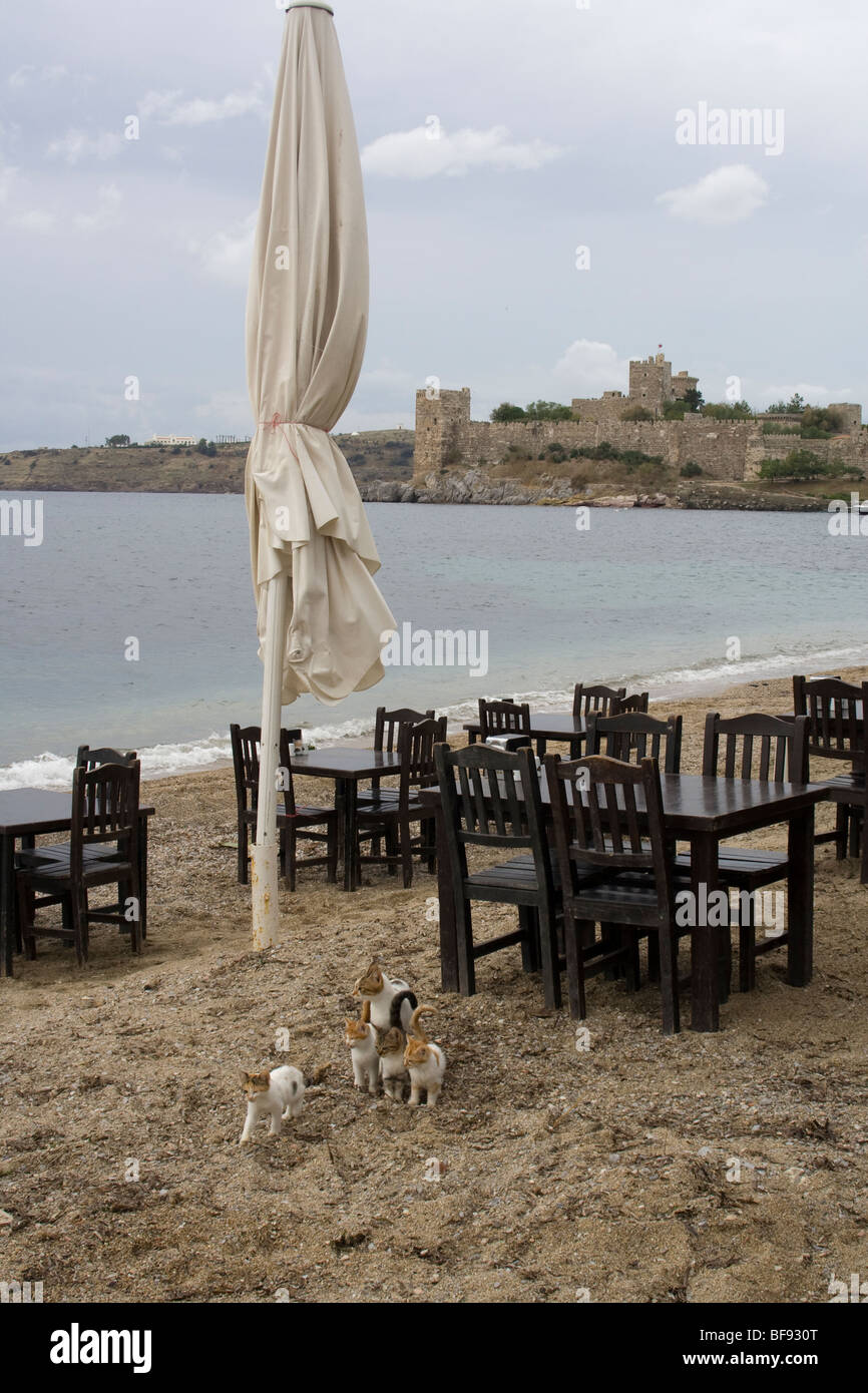 bodrum in the winter Stock Photo - Alamy