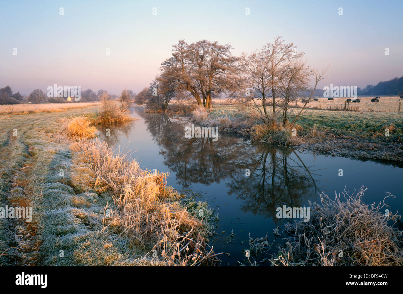 Peaceful River Wey in Surrey, UK Stock Photo - Alamy