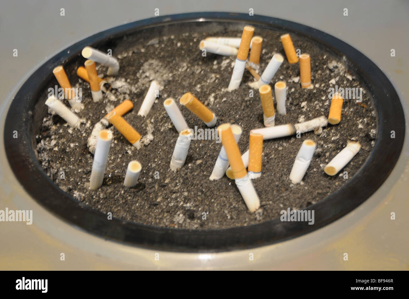 Extinguished Cigarettes & Cigar in Ashtray Stock Photo - Alamy