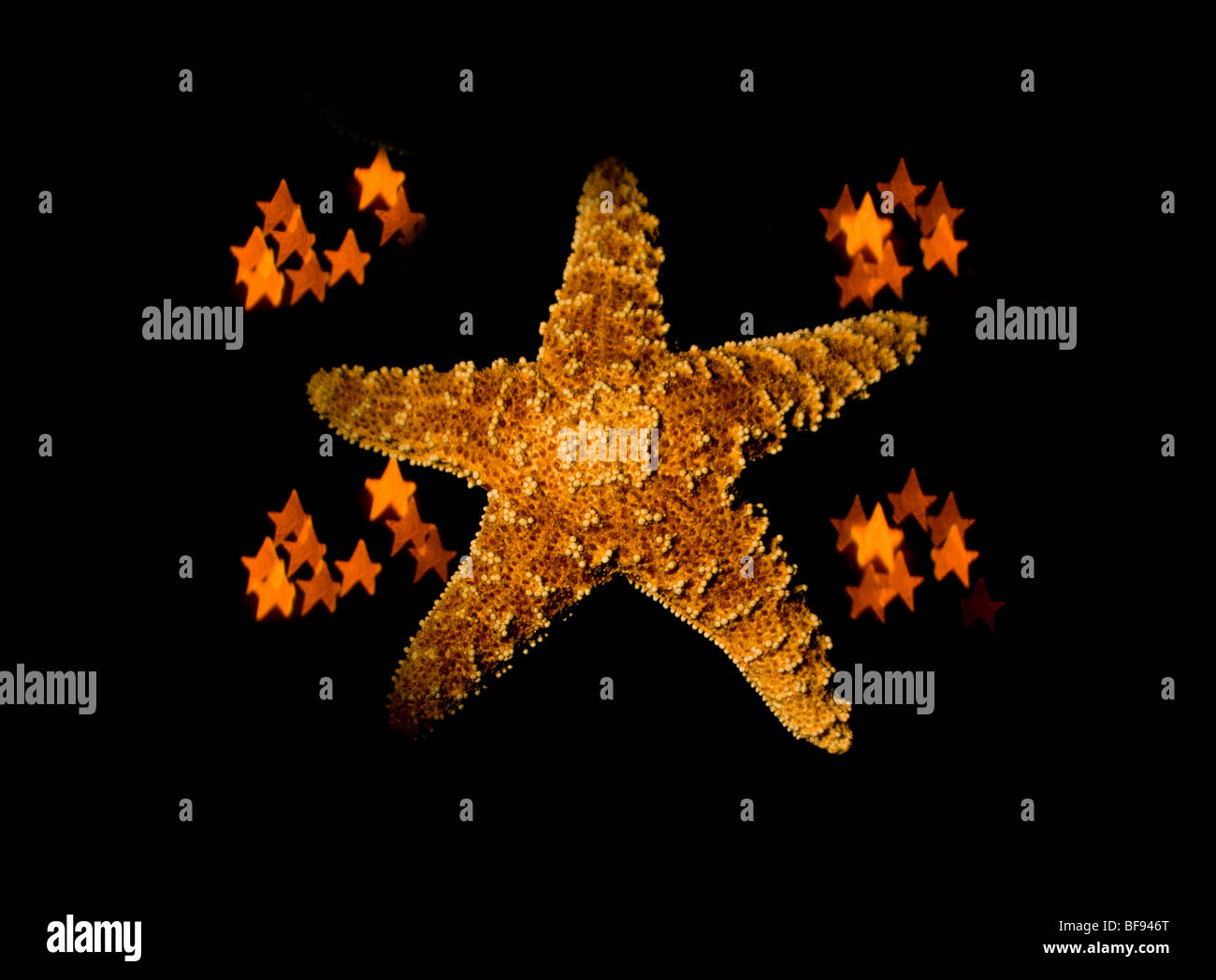 Curved stars hi-res stock photography and images - Alamy