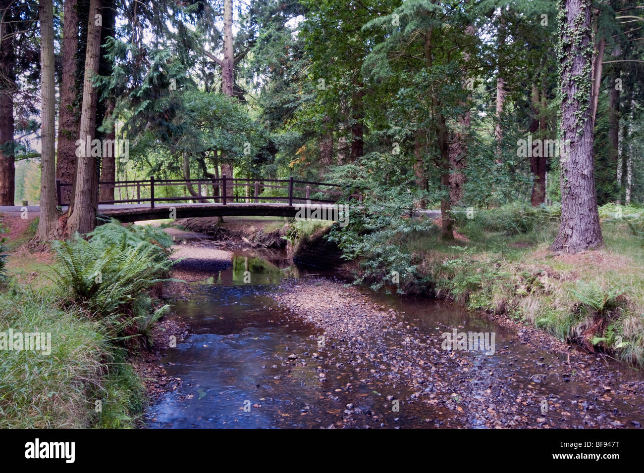 Blackwater river hi-res stock photography and images - Alamy
