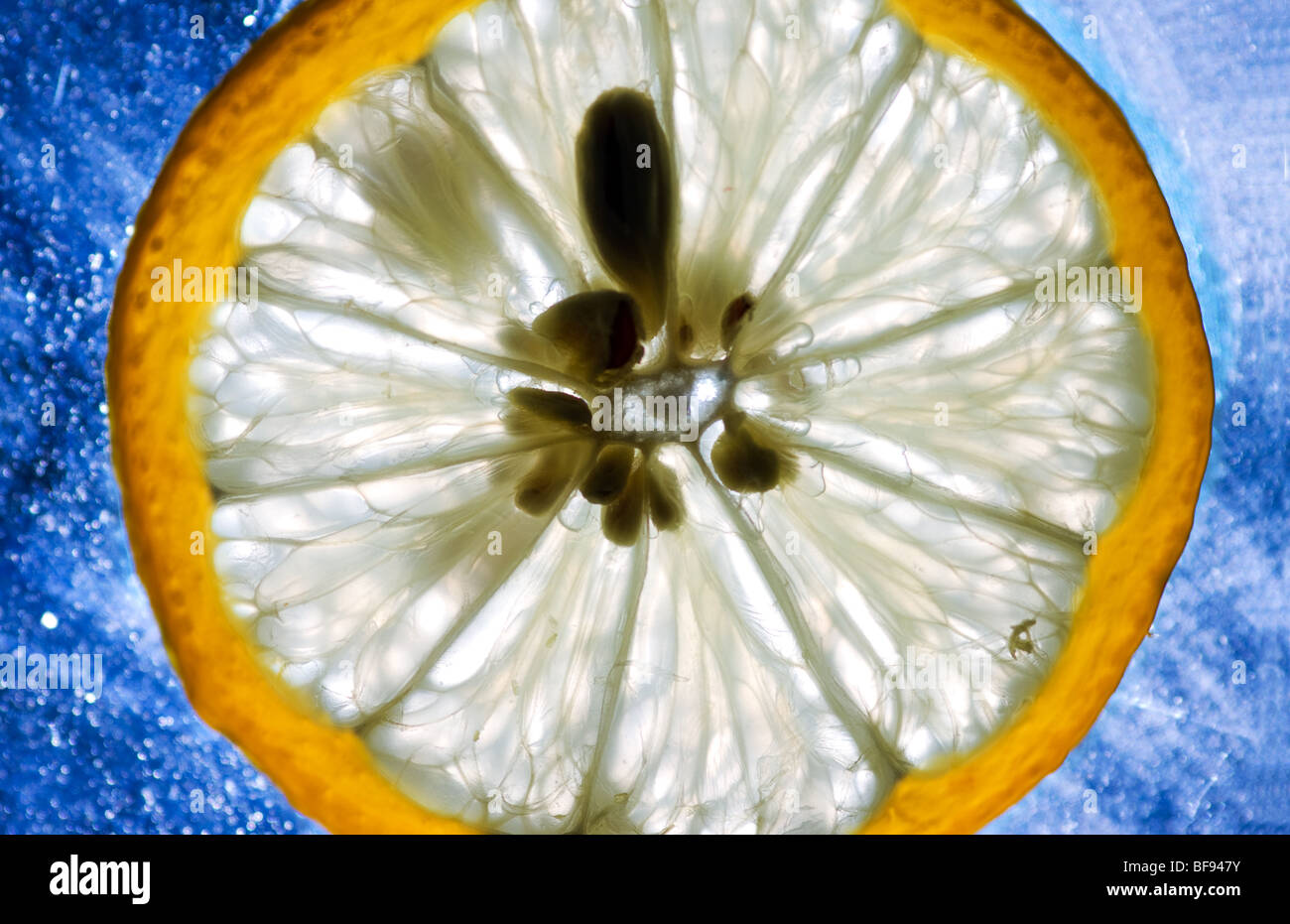 Lemon slice on blue Stock Photo - Alamy
