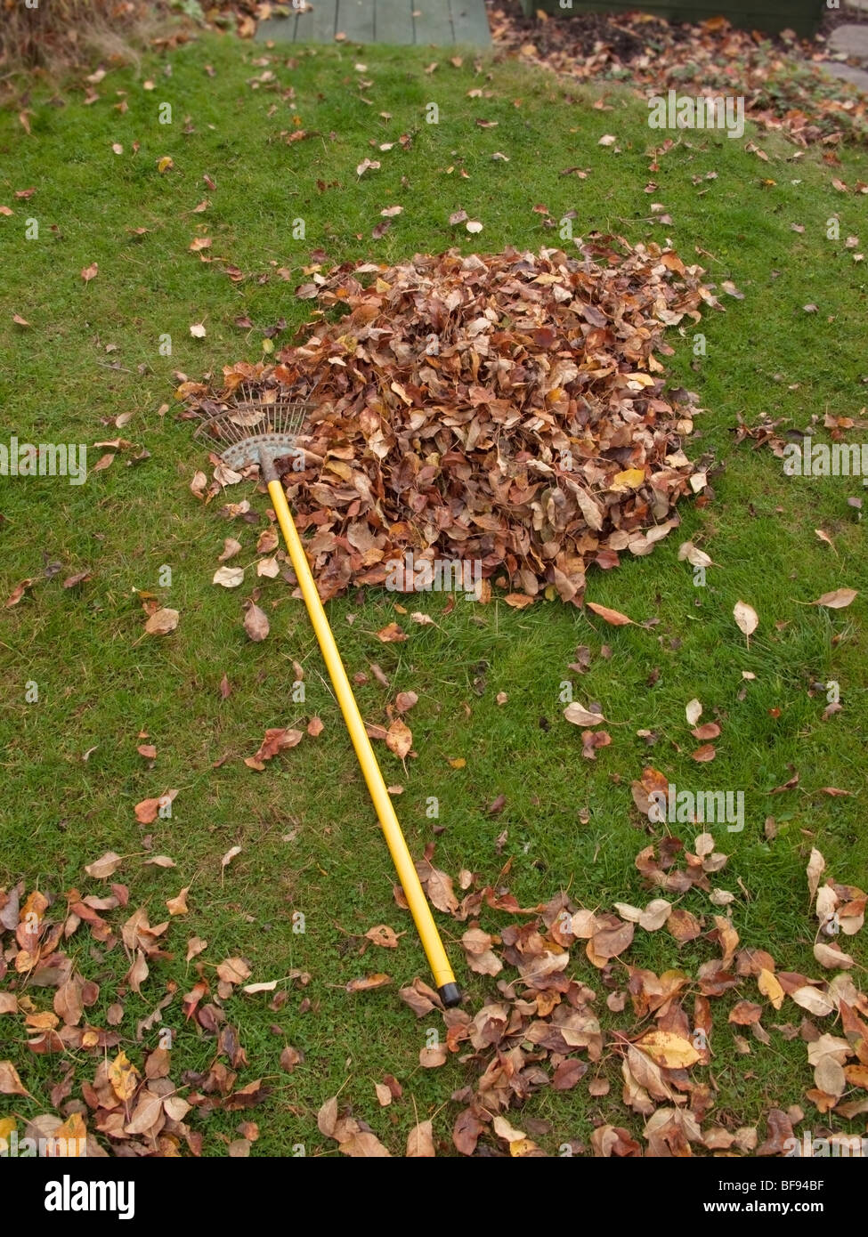 Pile Of Raked Leaves High Resolution Stock Photography and Images - Alamy