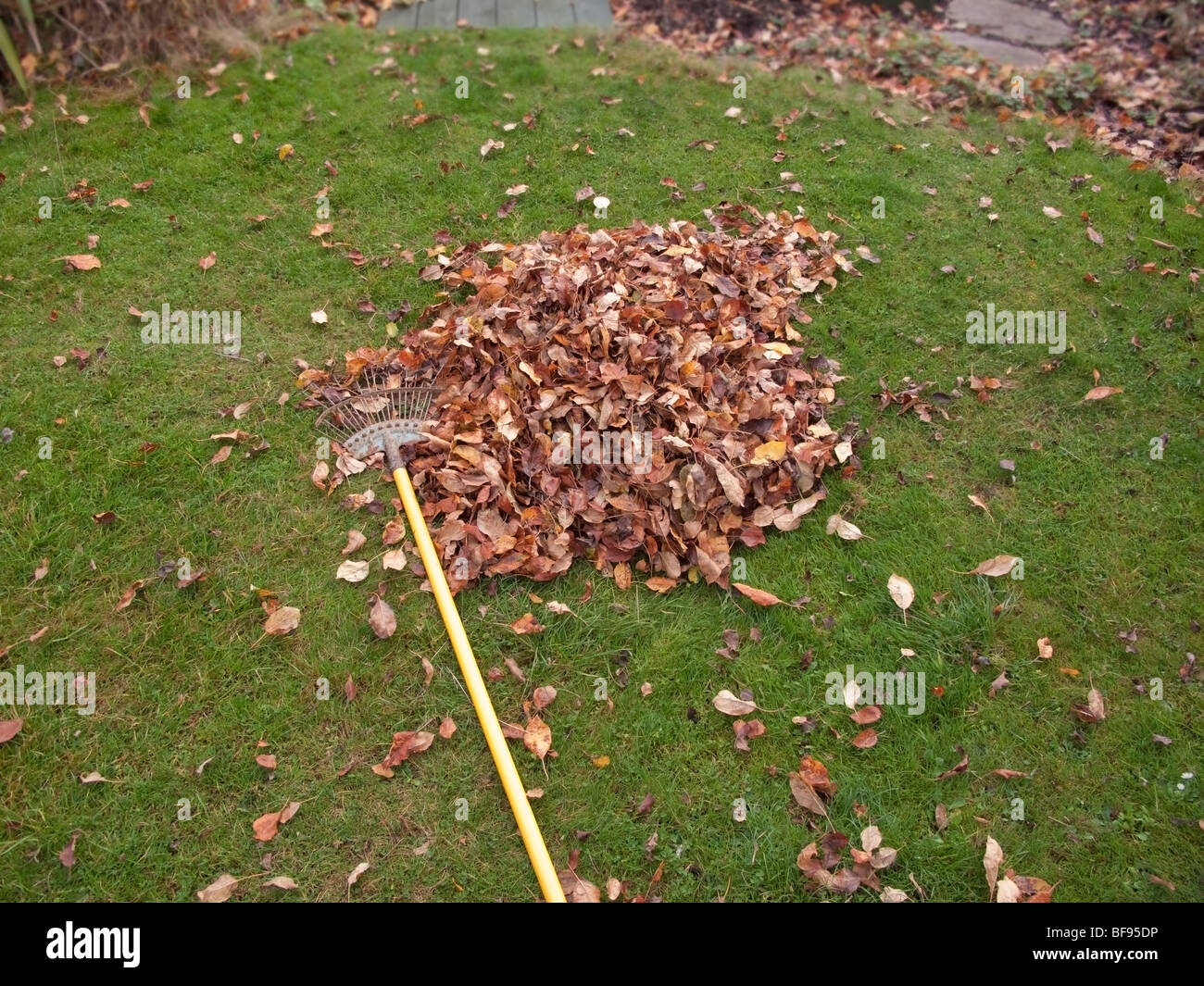 Pile Of Raked Leaves High Resolution Stock Photography and Images - Alamy