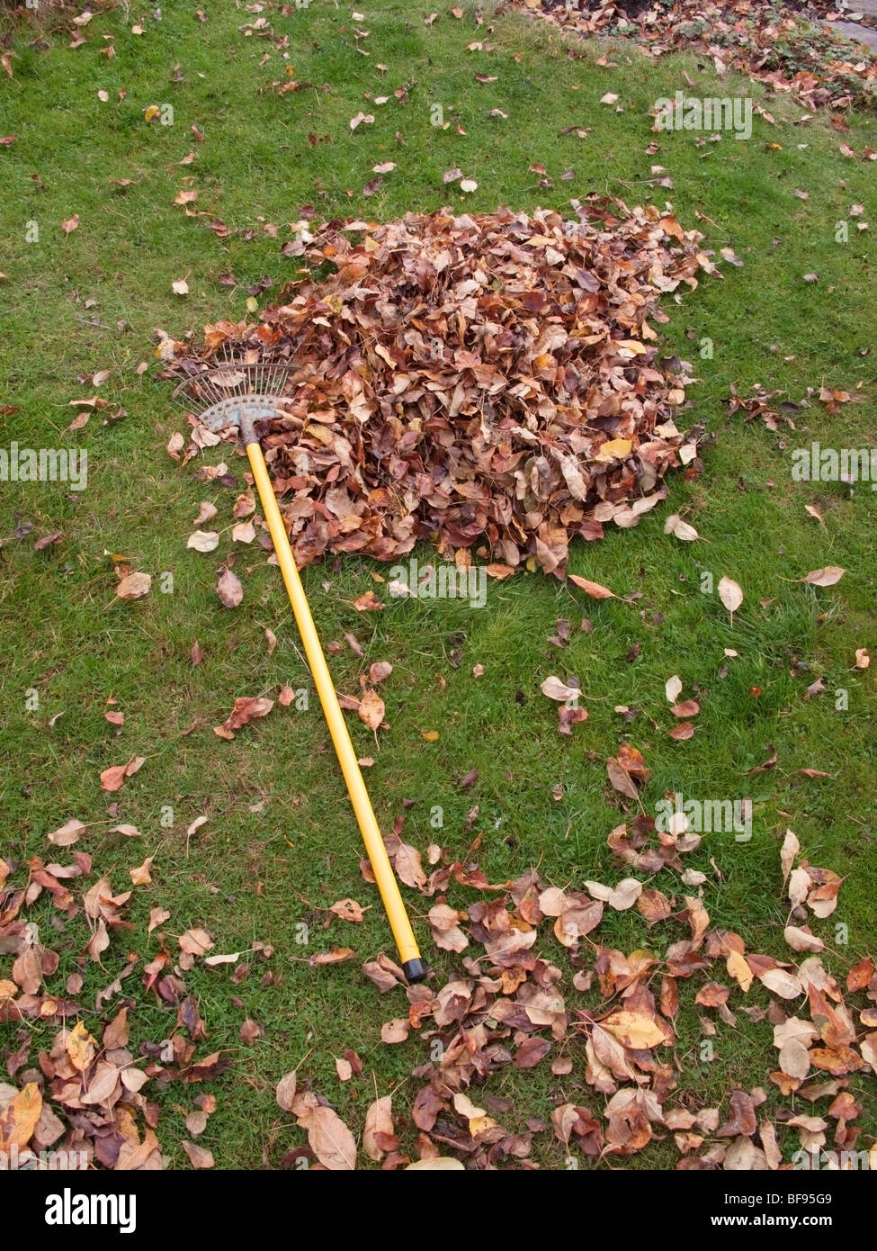 Pile Of Raked Leaves High Resolution Stock Photography and Images - Alamy