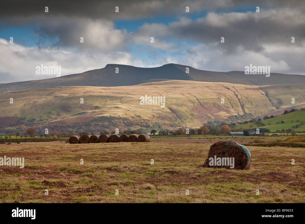 Corn du autumn hi-res stock photography and images - Alamy