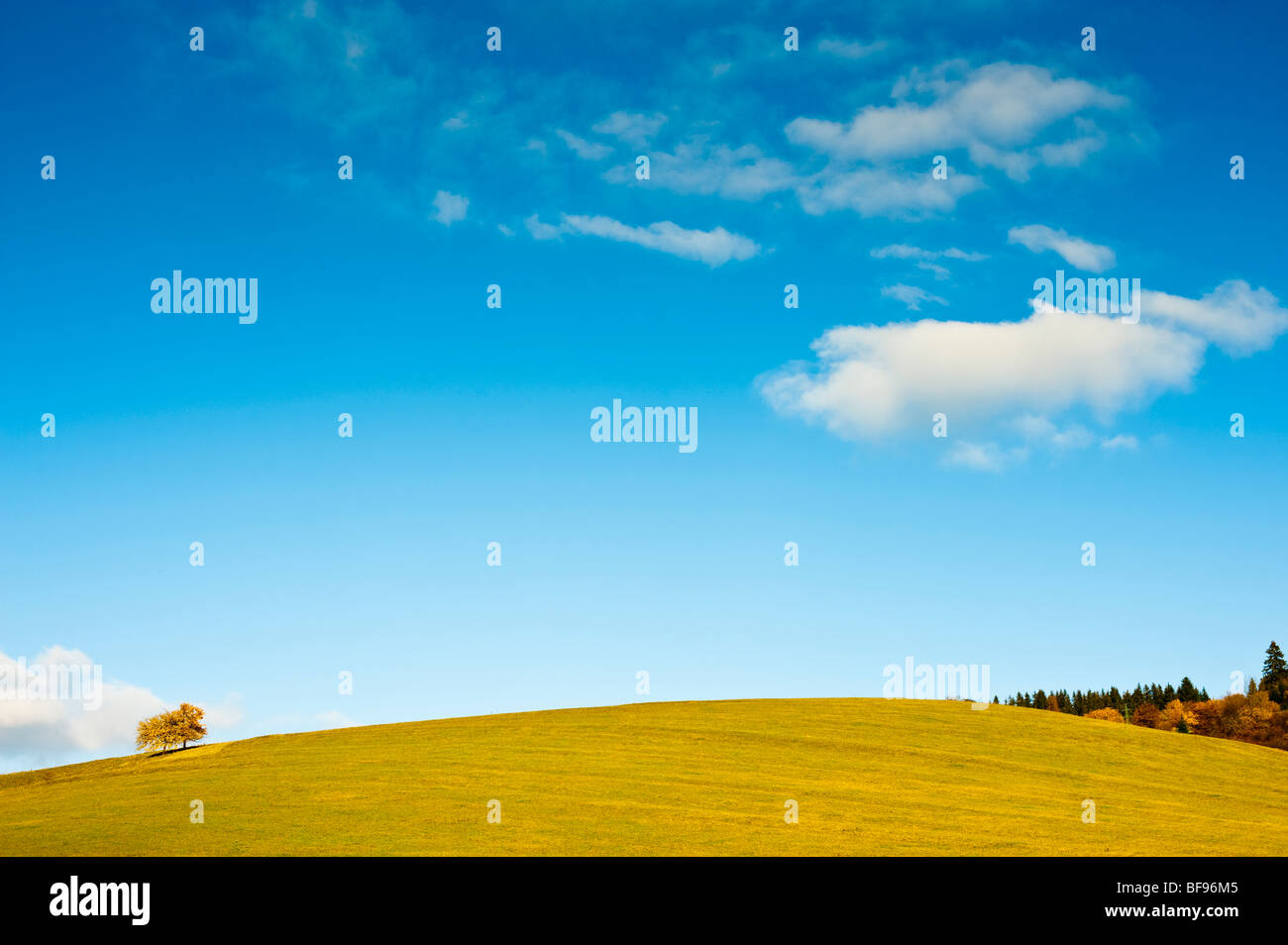 Blue fill hi-res stock photography and images - Alamy
