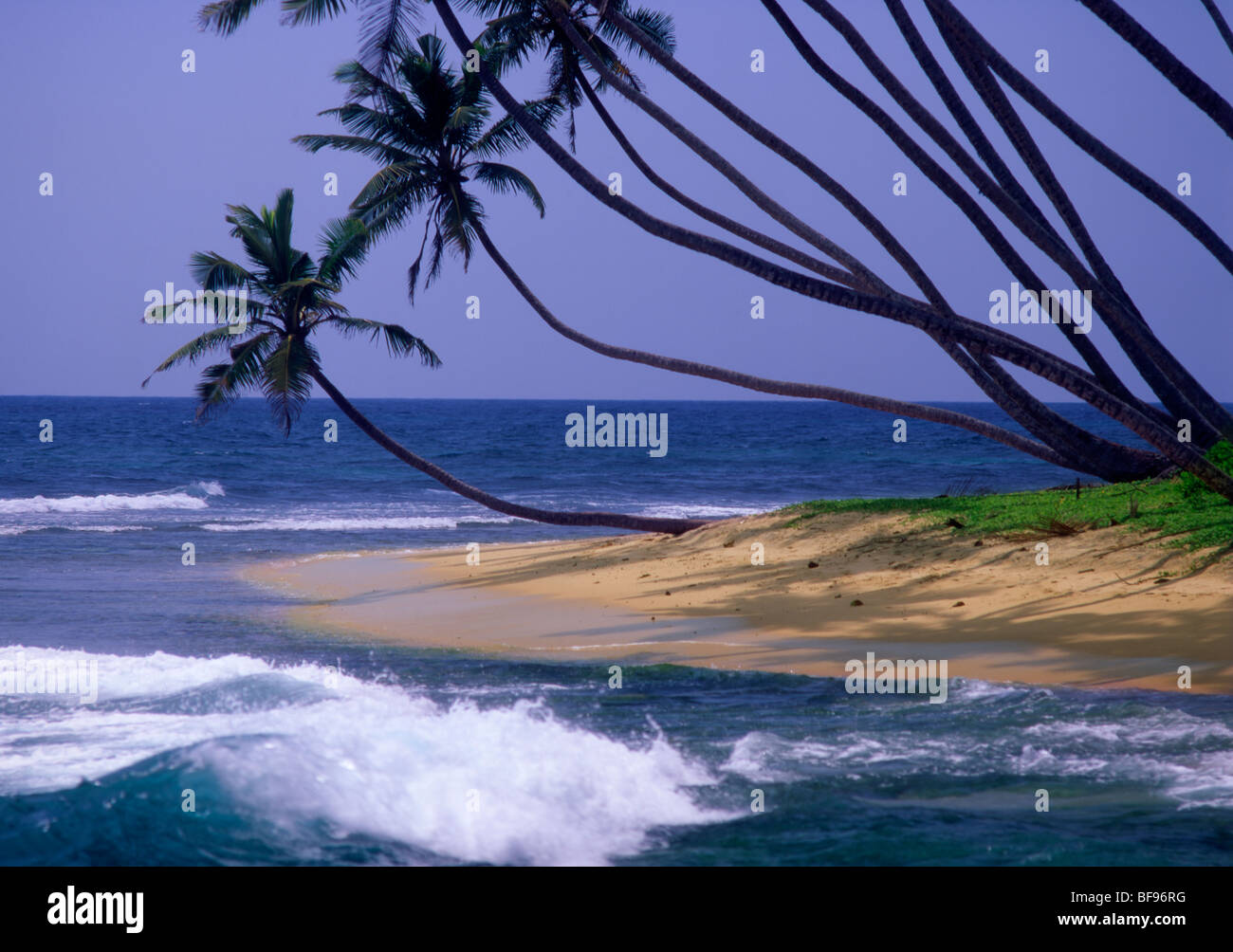 Sri Lanka Unawatuna beach Stock Photo - Alamy