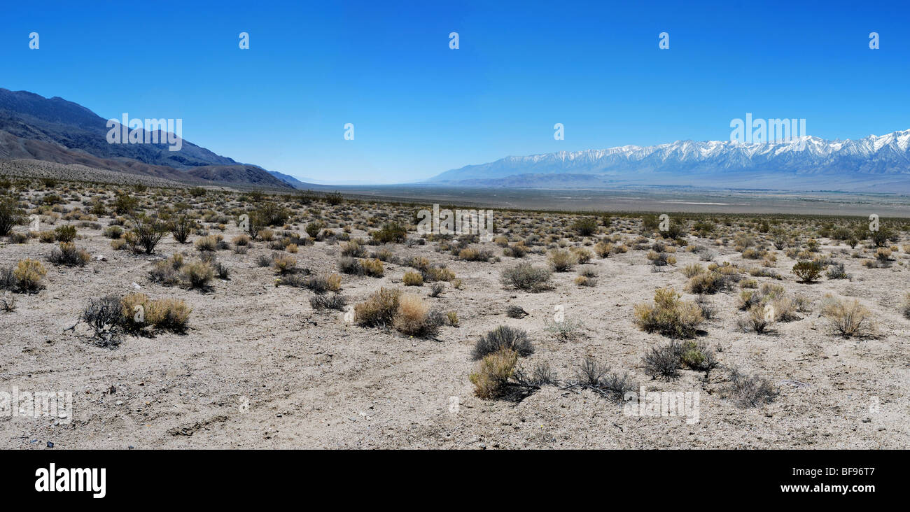 The Eastern Sierras from the Inyo mountains near Mazourka canyon ...