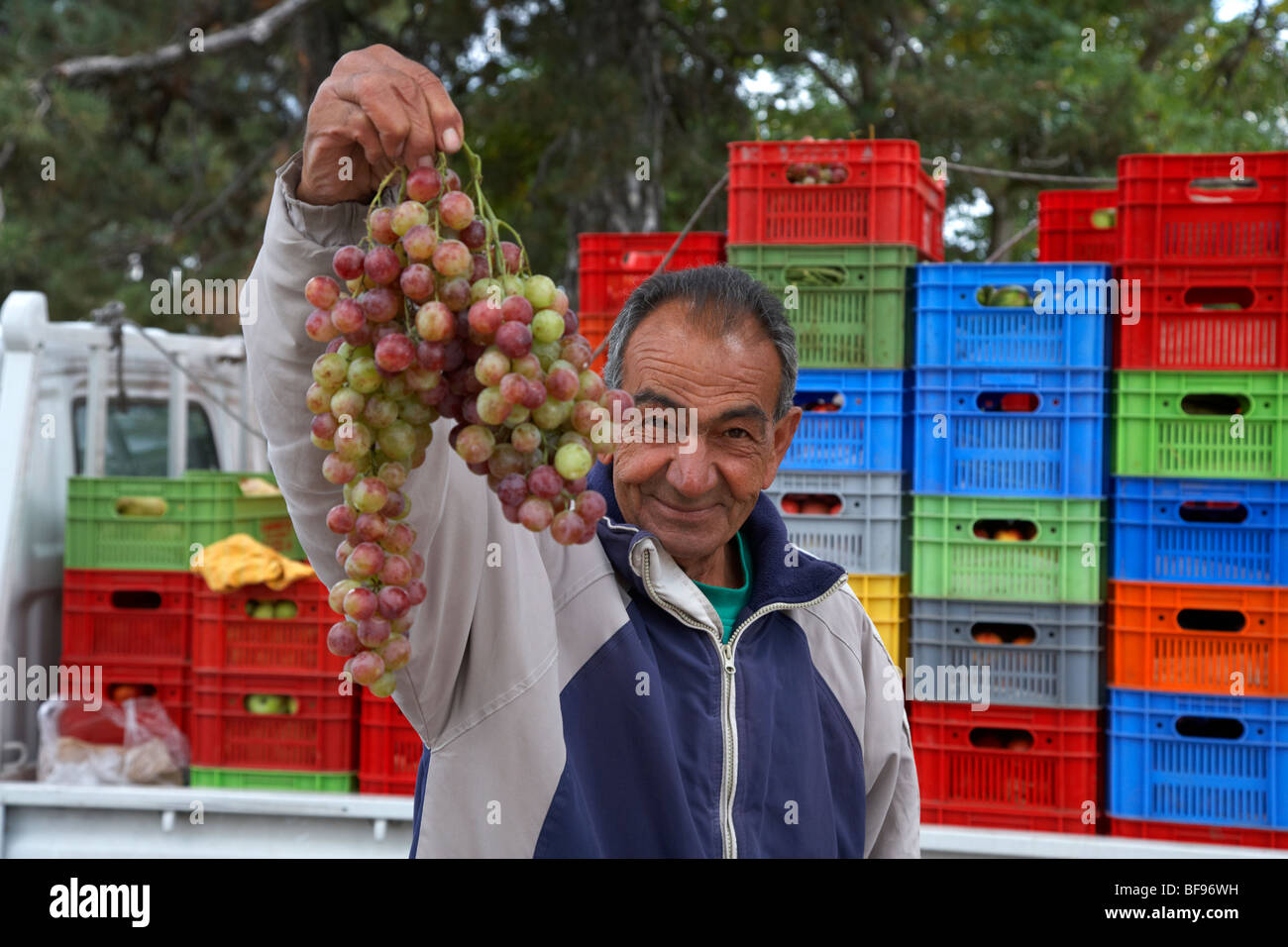 fruit seller holding up a bunch of grapes from local farms set up to ...