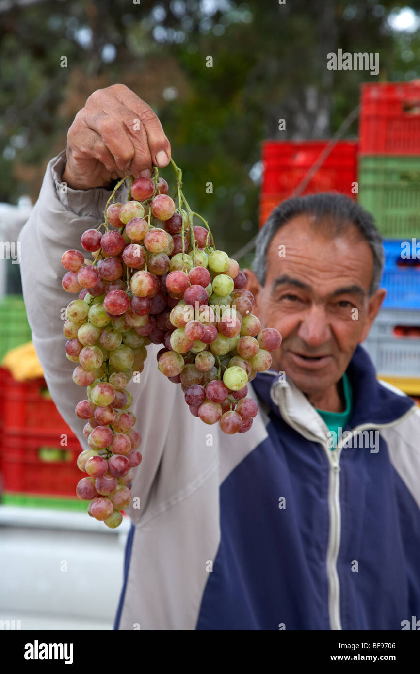 fruit seller holding up a bunch of grapes from local farms set up to ...