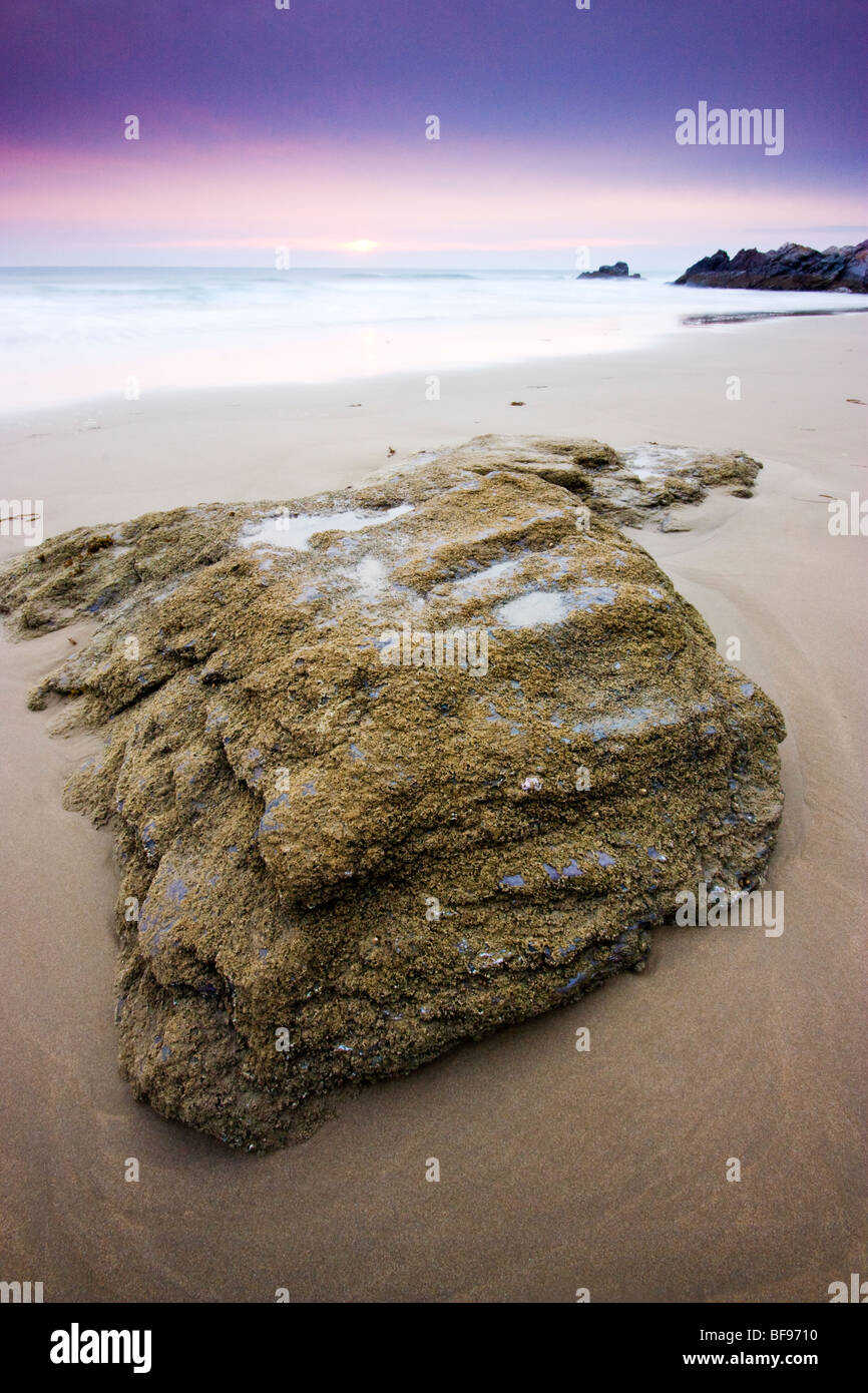 Rock at Freathy Stock Photo - Alamy