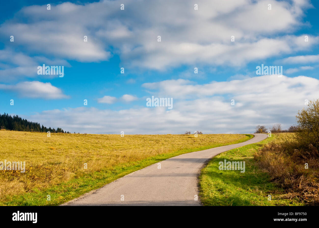 veering road and horizon in autumn country, meadows an sky with clouds ...