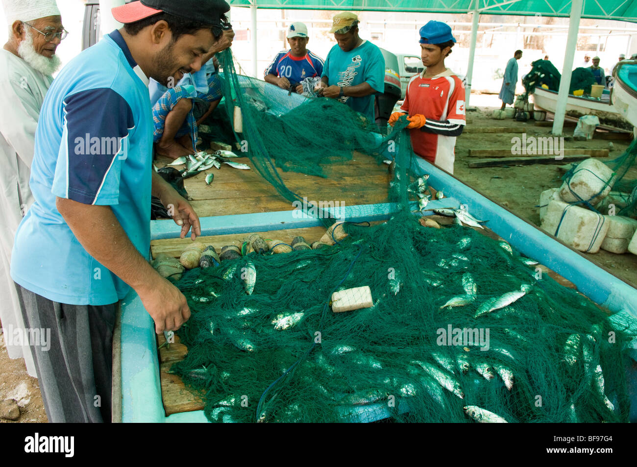 The Fish Market in Muscat Oman Stock Photo - Alamy