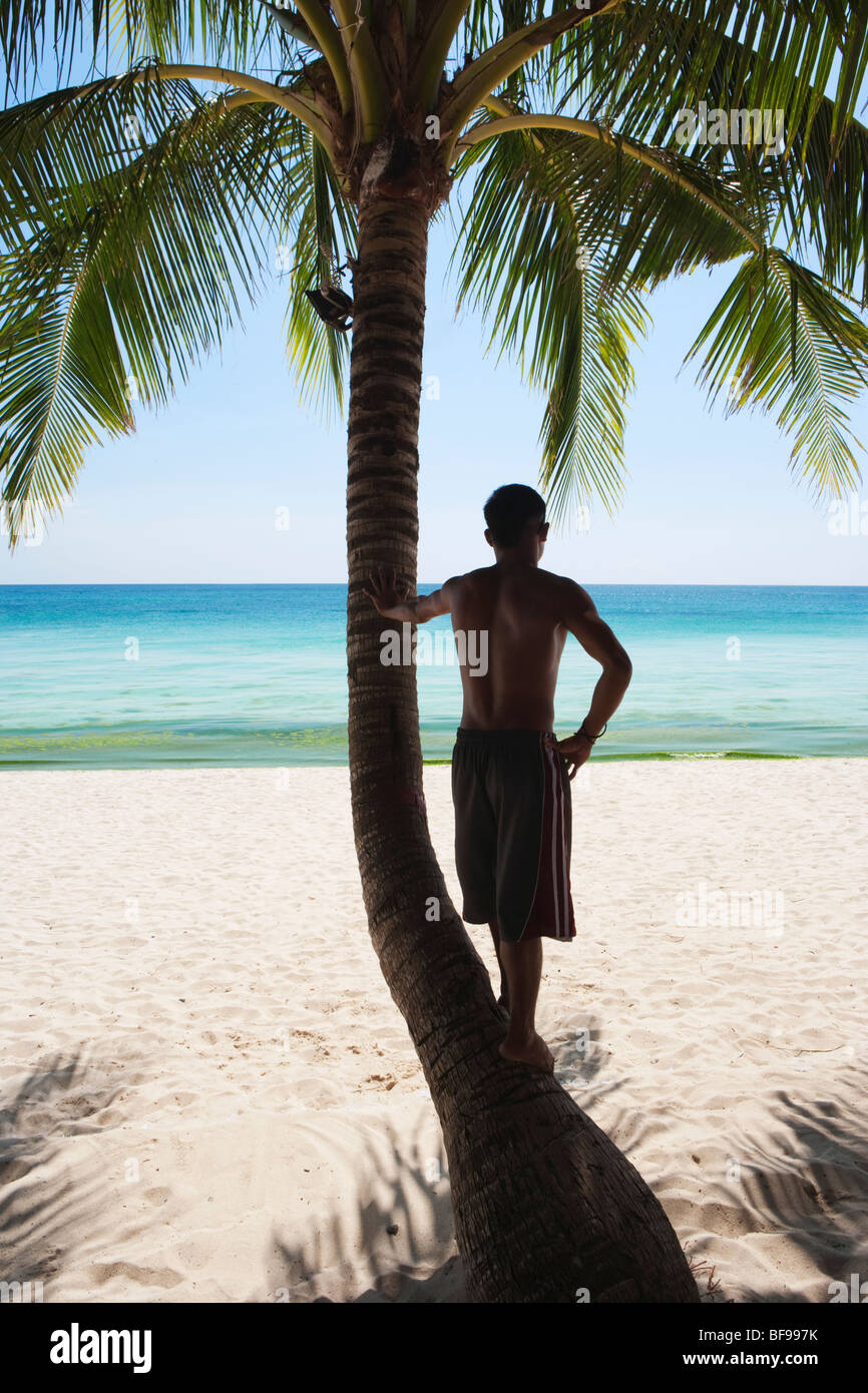 Man in shade palm tree hi-res stock photography and images - Alamy