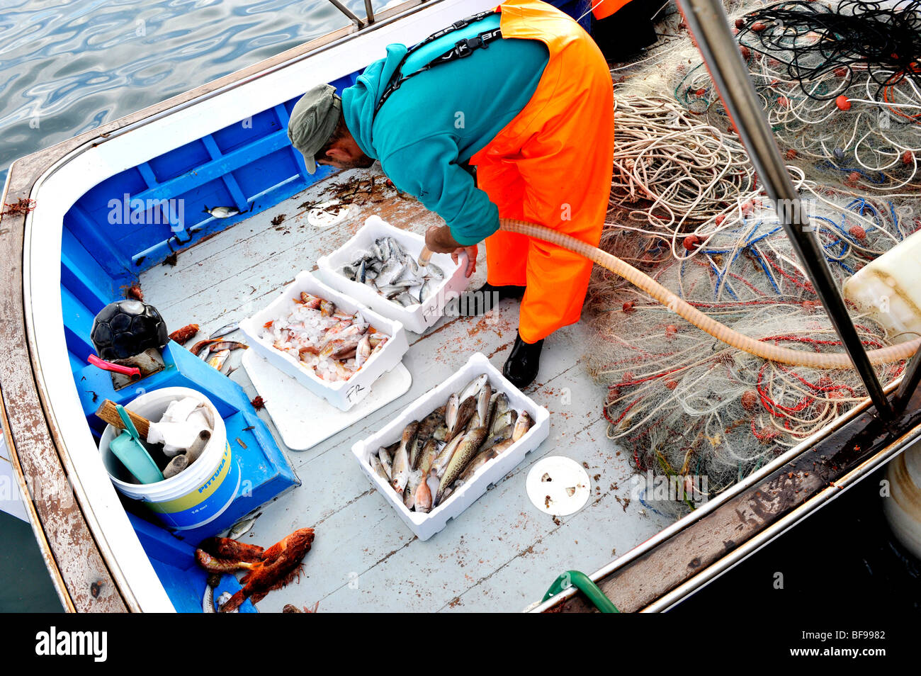 Nets of all sorts hi-res stock photography and images - Alamy