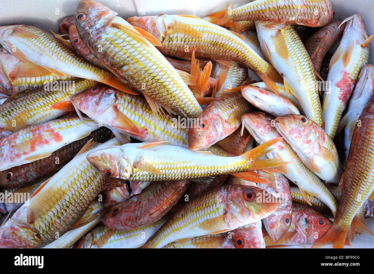 Sardinia fish market hi-res stock photography and images - Alamy