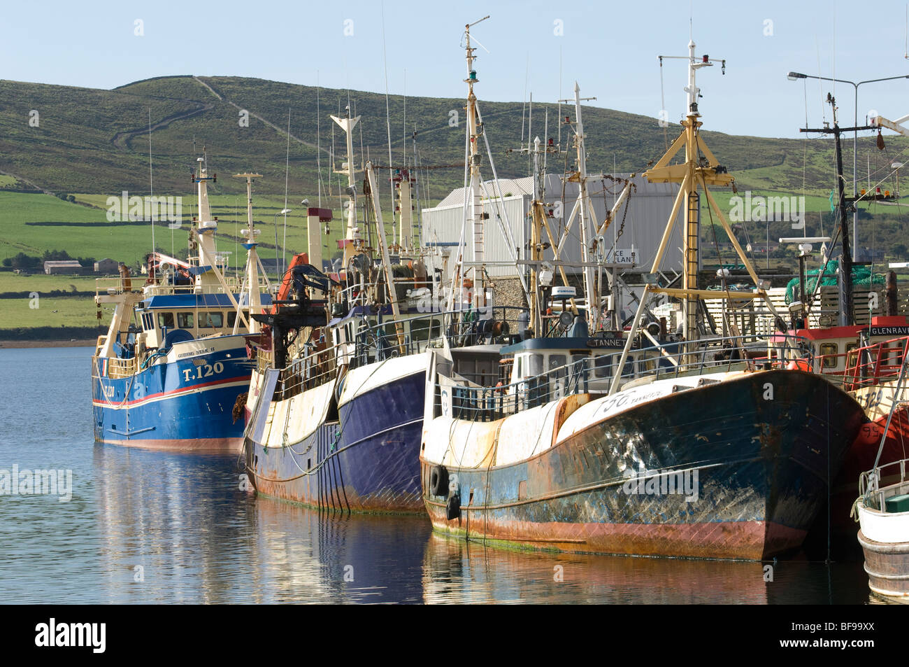 colourful trawlers and fishing vessels moored at Dingle harbour in ...