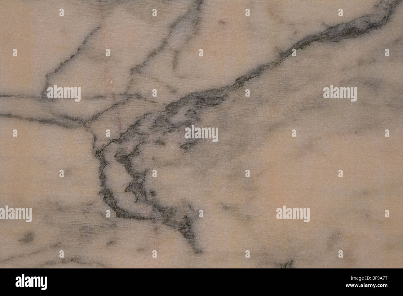 High quality white marble hi-res stock photography and images - Alamy