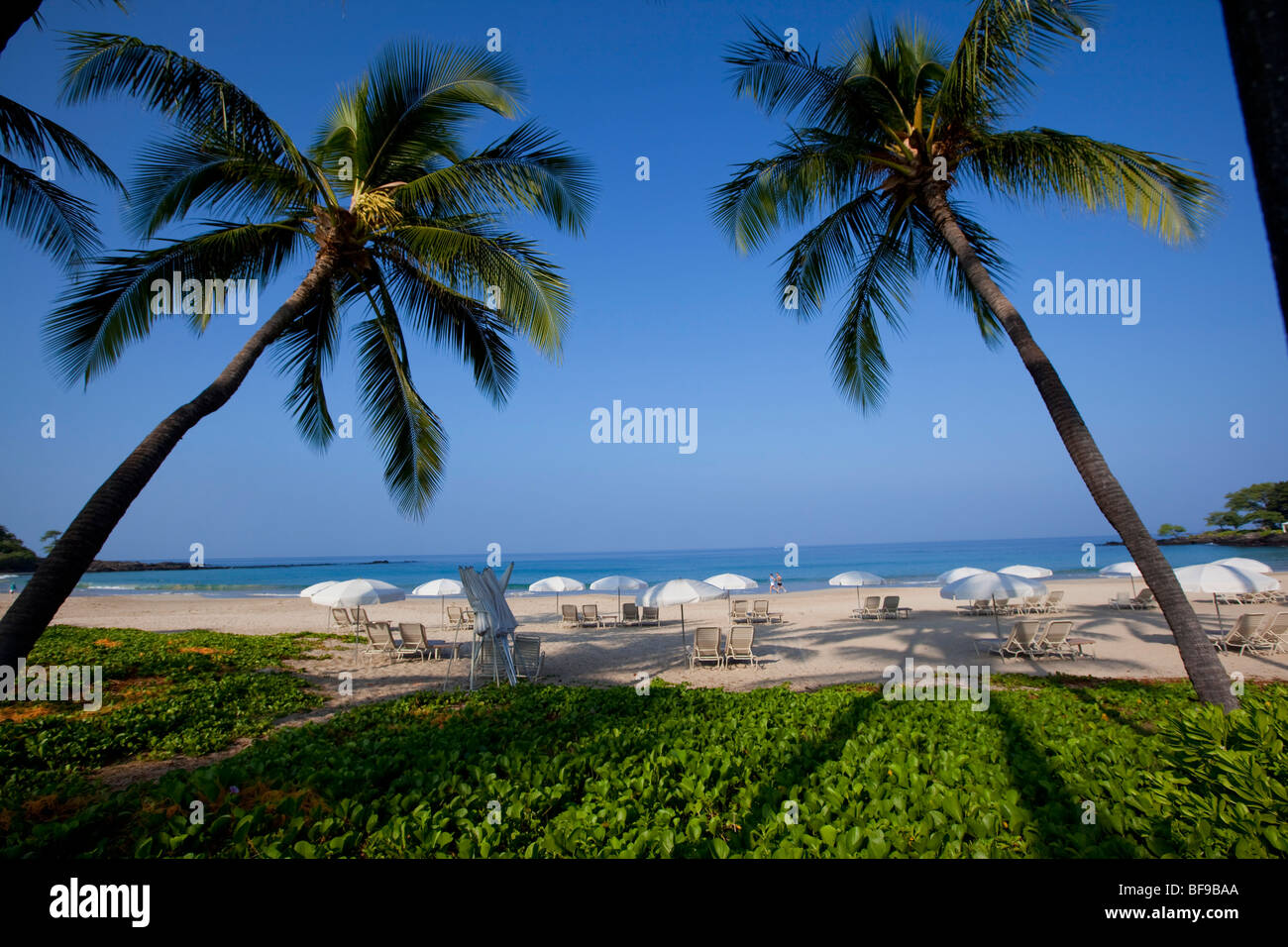 Kauna‘oa bay hi-res stock photography and images - Alamy