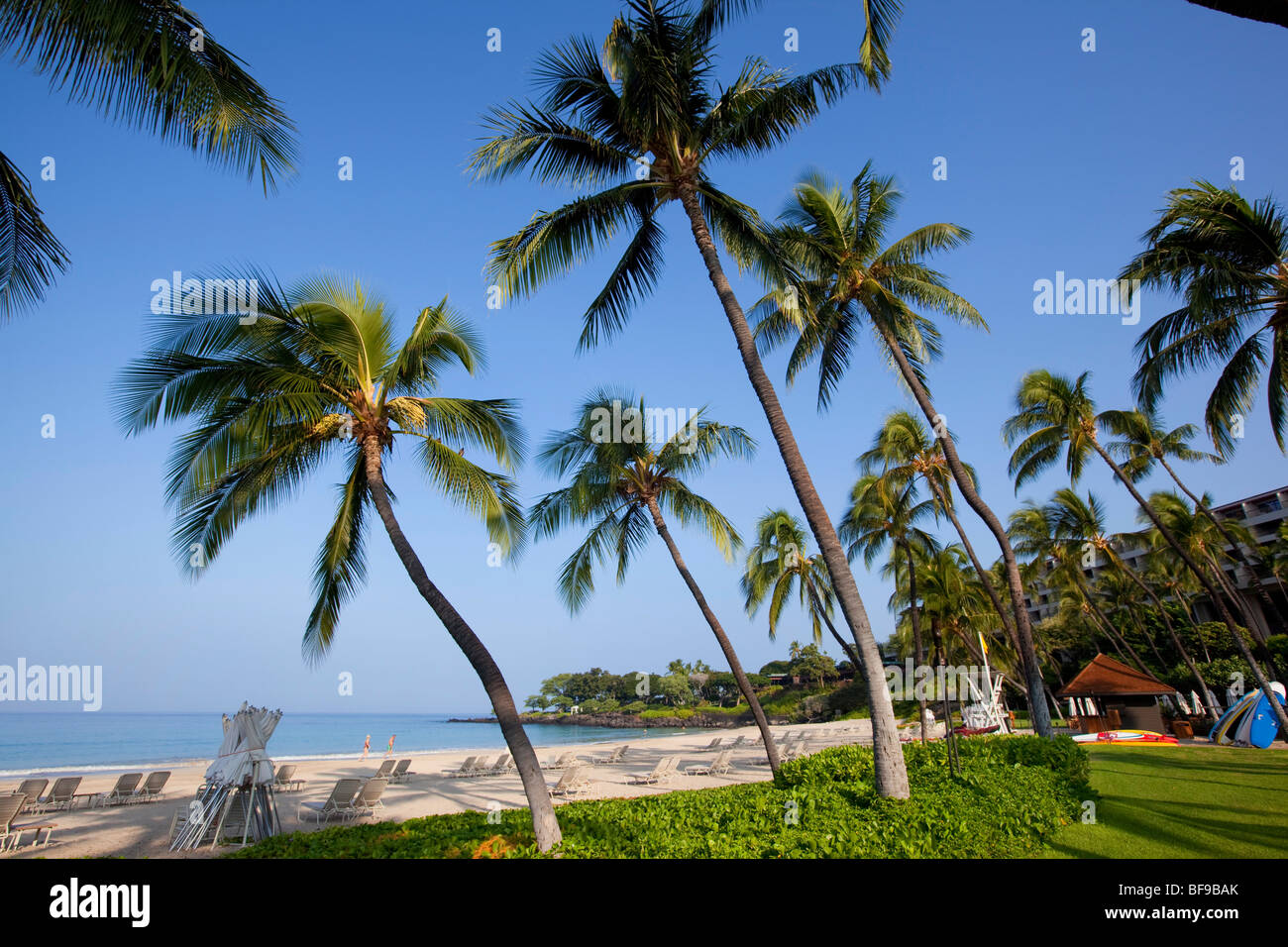Mauna Kea Beach, Kaunaoa Bay, Kohala Coast, Island of Hawaii Stock ...