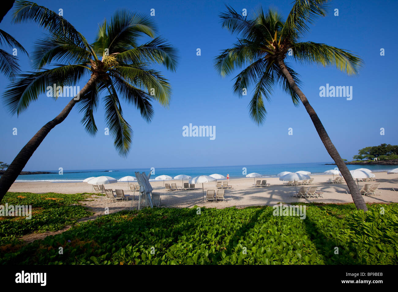 Mauna Kea Beach, Kaunaoa Bay, Kohala Coast, Island of Hawaii Stock ...