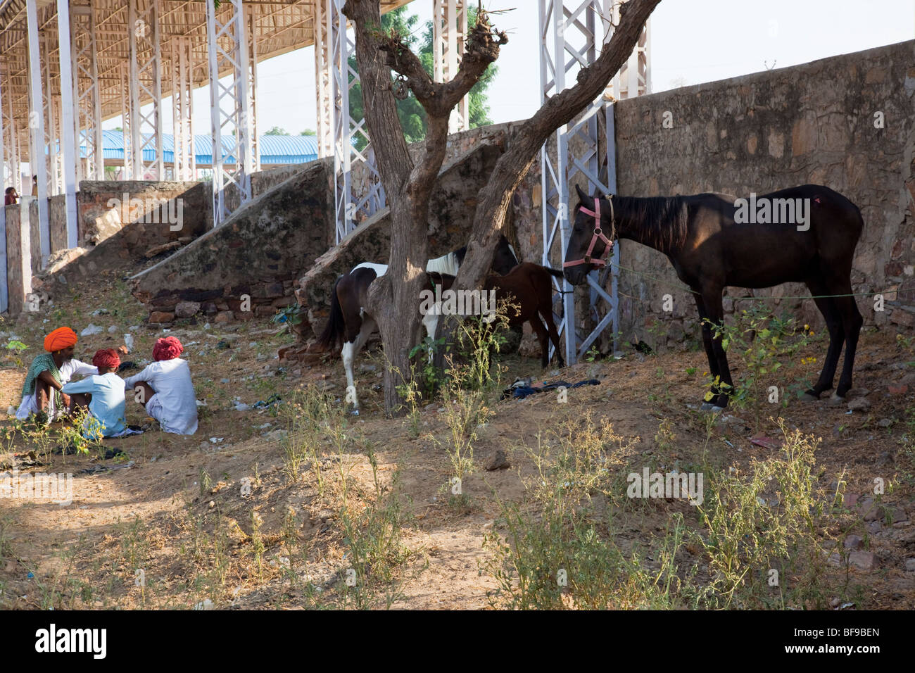 Rajput men and their horses outside the race track at the Pushkar Mela ...
