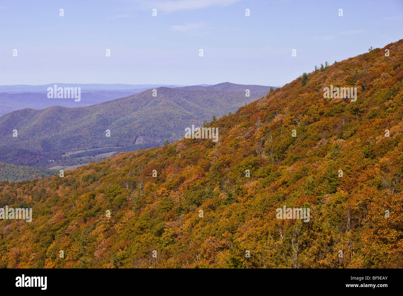 Fall foliage colors in Virginia Stock Photo - Alamy