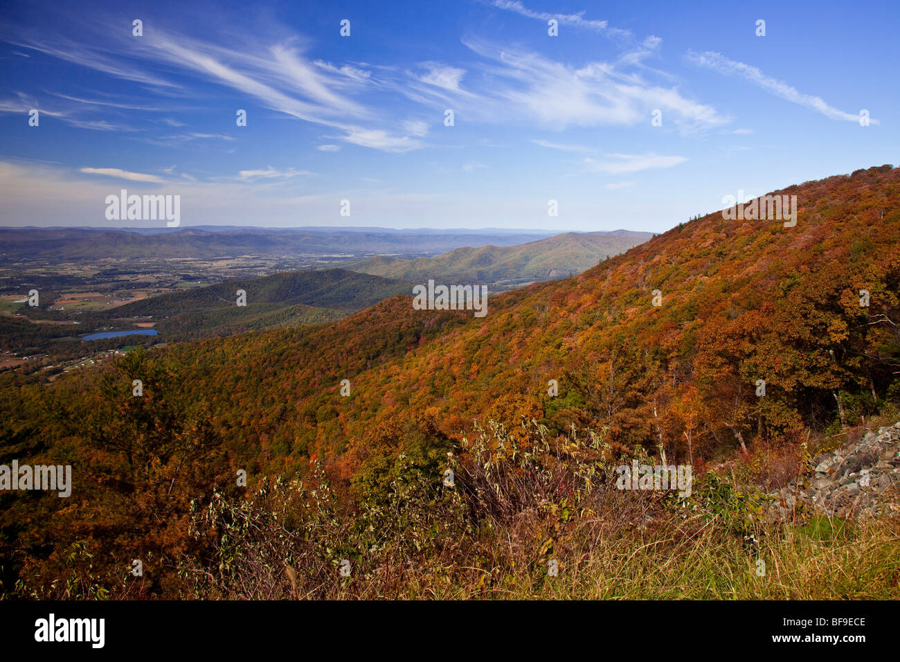 Fall foliage colors in Virginia Stock Photo - Alamy