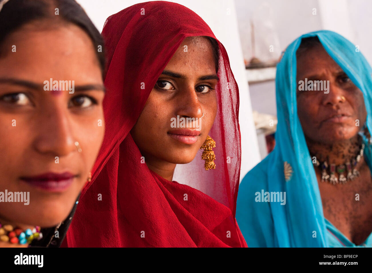 Rajput women at the Pushkar Mela in Pushkar in Rajasthan India Stock ...