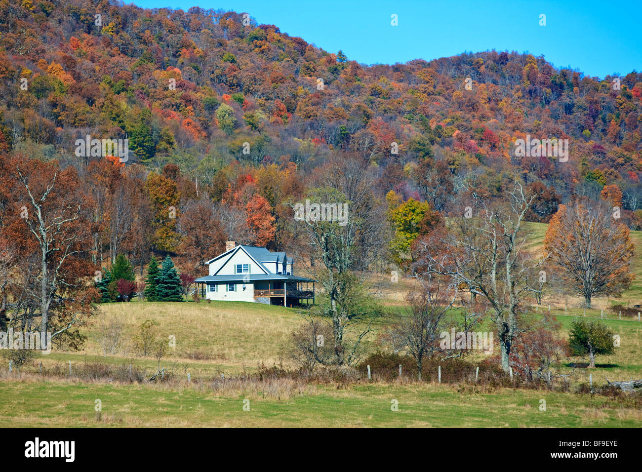 Fall foliage colors in Virginia Stock Photo - Alamy