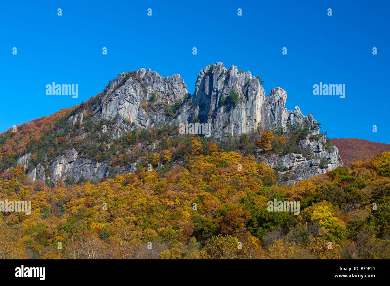 Fall foliage colors in Virginia Stock Photo - Alamy