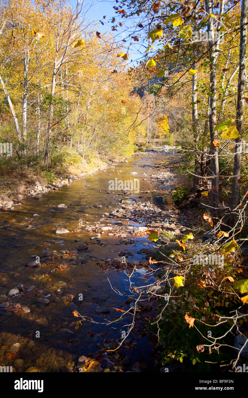 Fall foliage colors in Virginia Stock Photo - Alamy