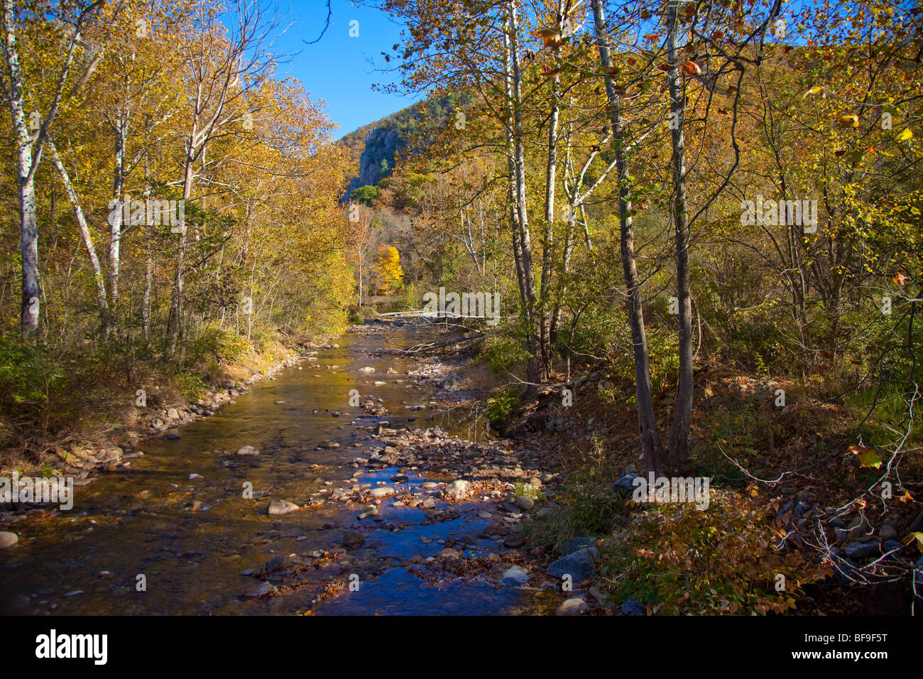 Fall foliage colors in Virginia Stock Photo - Alamy