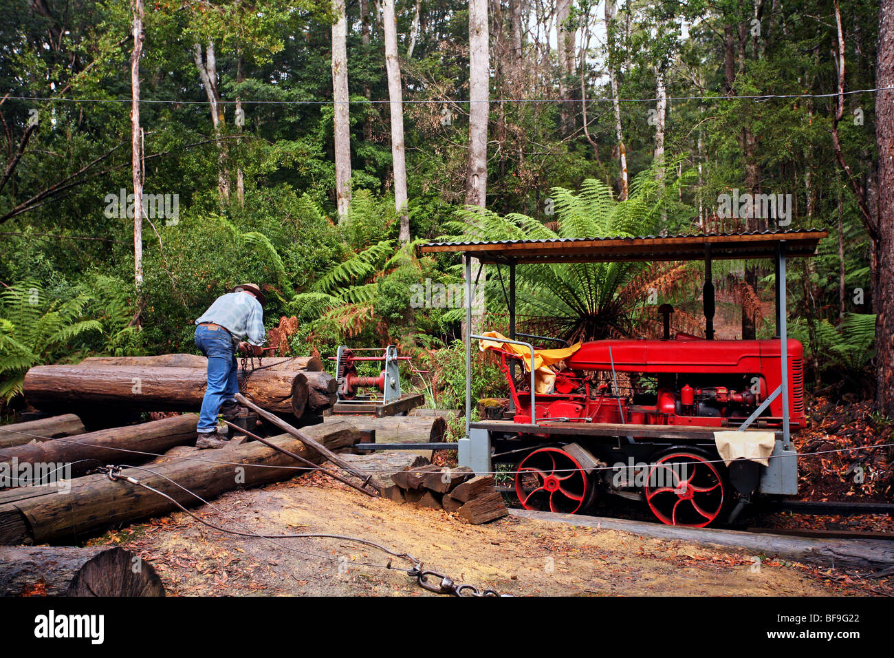 Forestry Industry North East Tasmania Australia Stock Photo - Alamy
