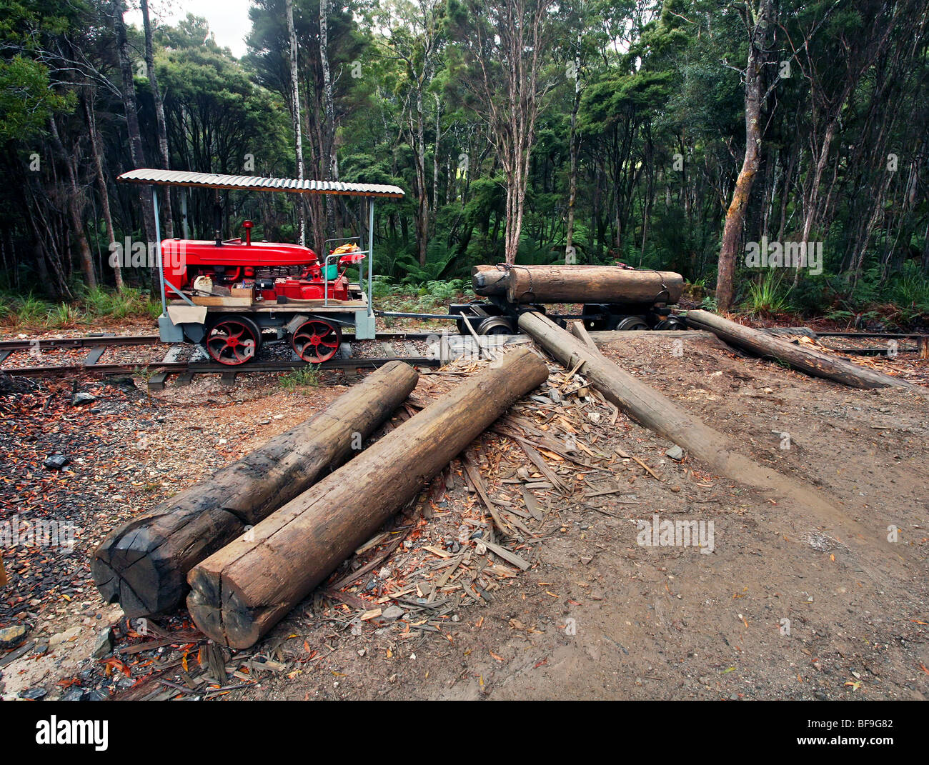 Forest logging tasmania hi-res stock photography and images - Alamy