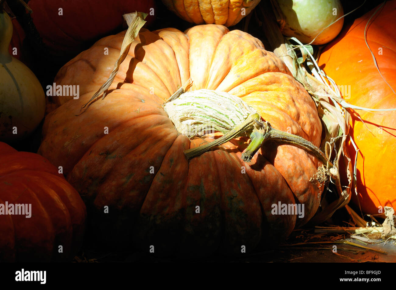 Original centerpiece hi-res stock photography and images - Alamy