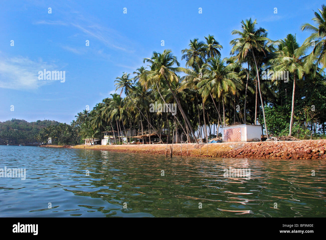 Goa Scenery Trees Water Stock Photos & Goa Scenery Trees Water Stock ...