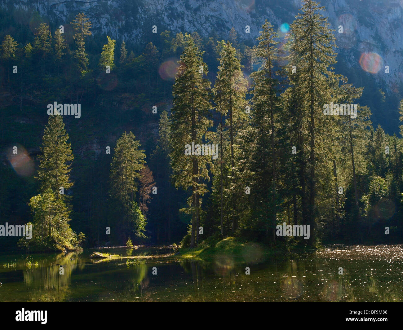 lake Gosausee, mountain Dachstein, Austria Stock Photo - Alamy
