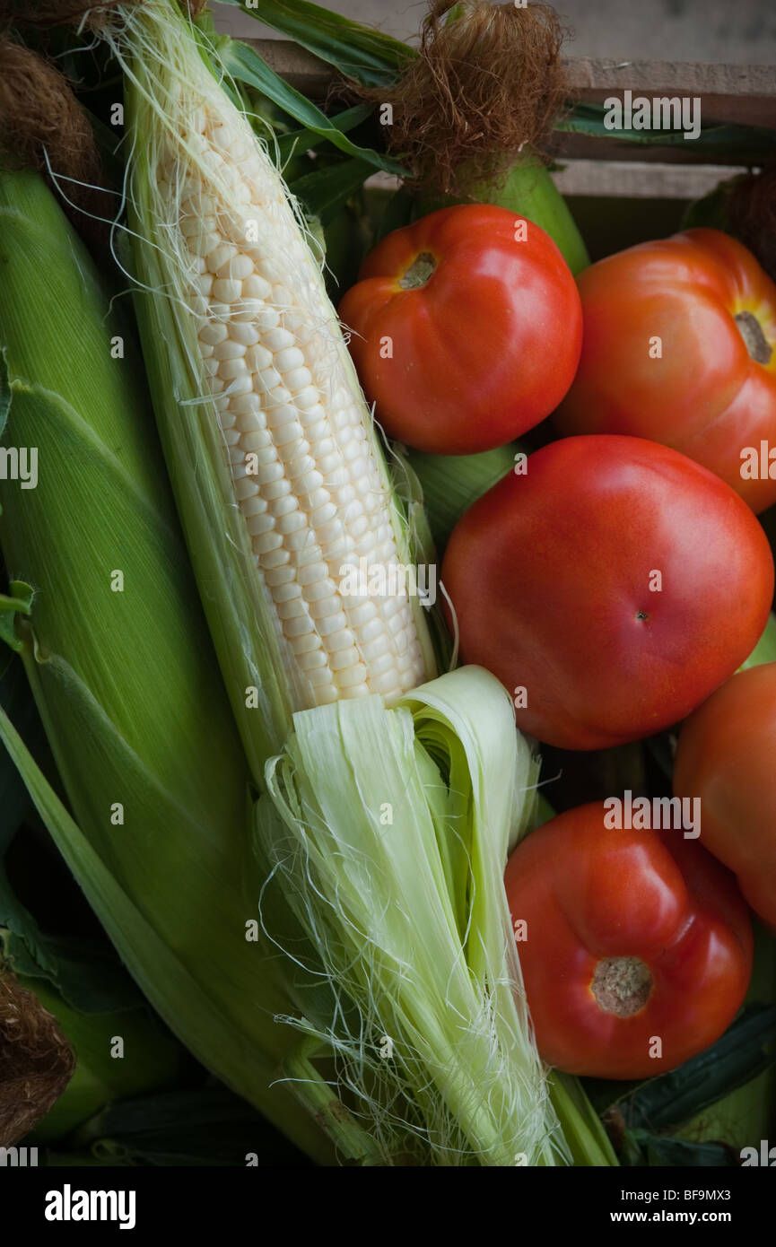 Summer vegetables - corn and tomatoes Stock Photo - Alamy