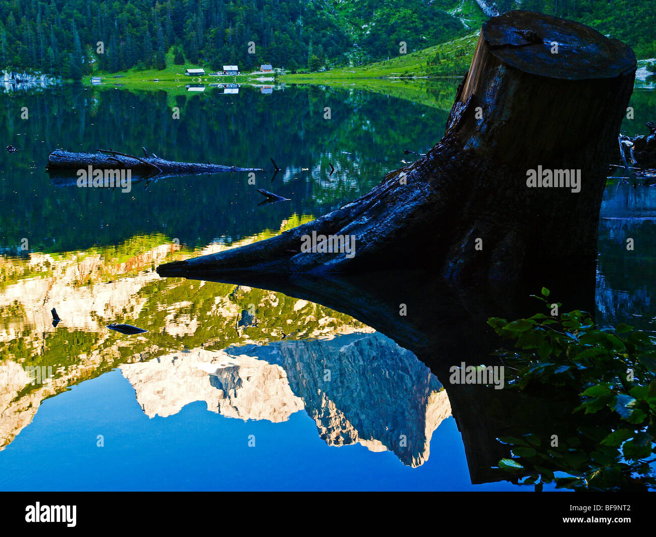 lake Gosausee, mountain Dachstein, Austria Stock Photo - Alamy