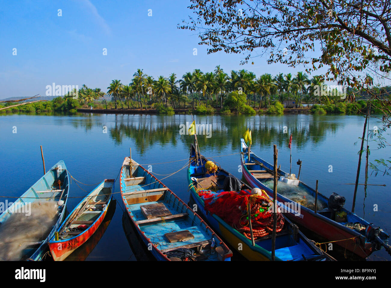 Fishing boats, Mandovi River, Panaji, Goa Stock Photo - Alamy
