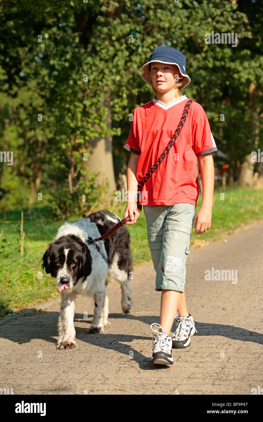 young boy walking his dog Stock Photo - Alamy young boy walking his dog Stock Photo - Alamy