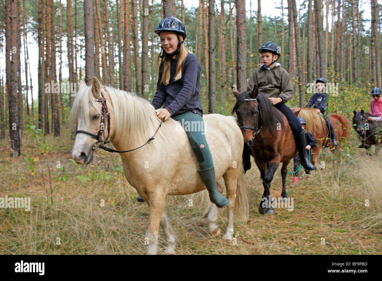 children horseback riding in a forest Stock Photo - Alamy