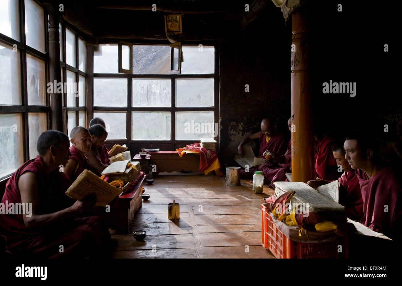 Buddhist reading sacred texts. Lingshed monastery. Padum-Lamayuru trek ...
