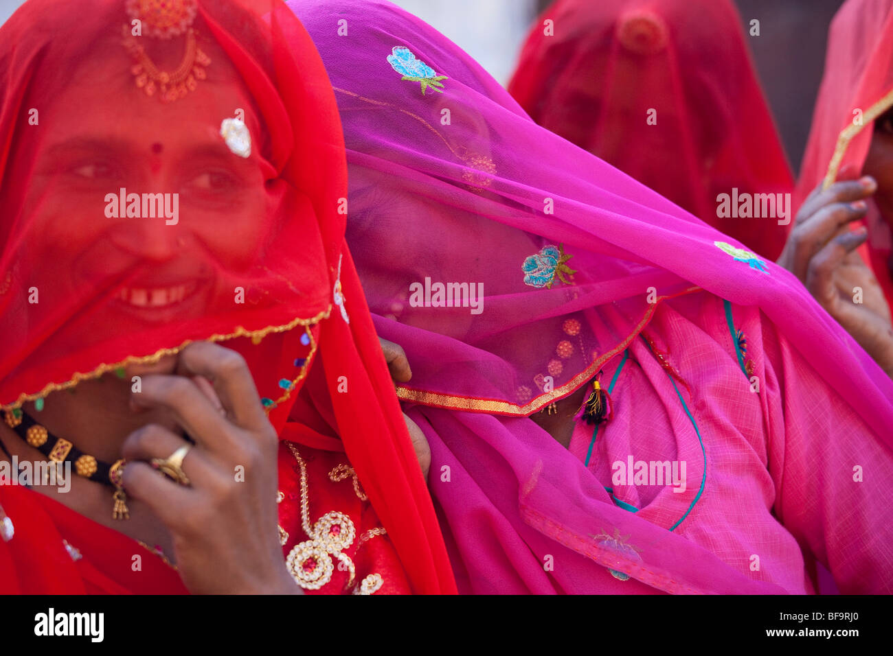 Veiled Rajput women at the Camel Fair in Pushkar in Rajasthan India ...