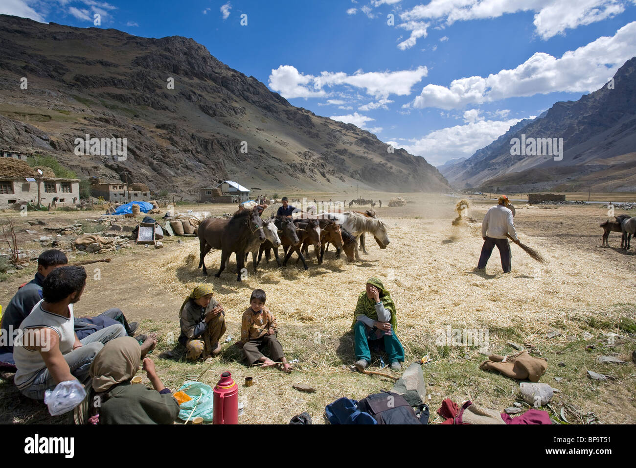 Family resting on the threshing floor. Dras village. Kashmir. India ...