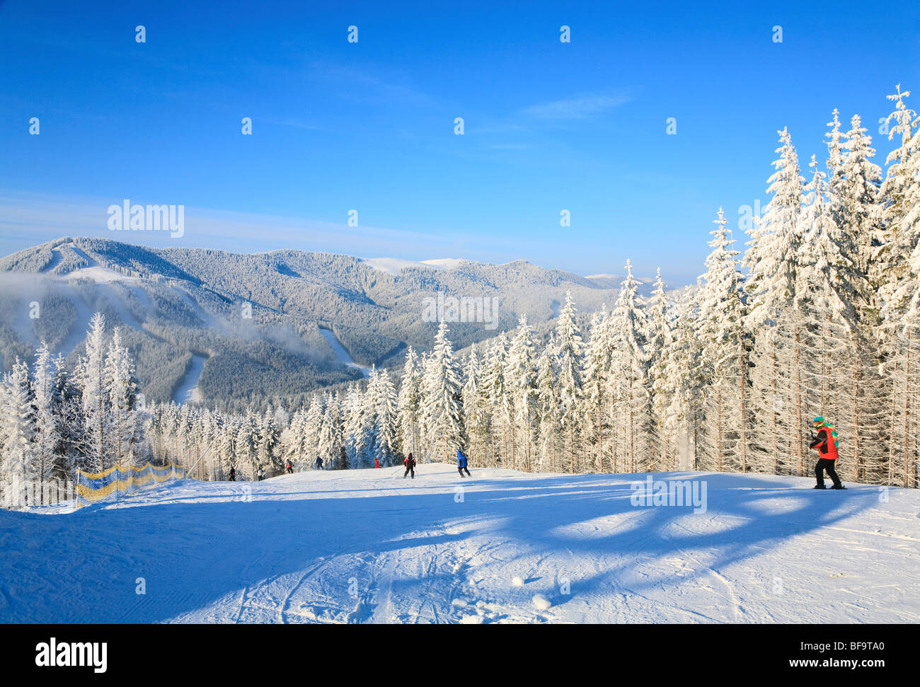 Winter alpine skiing downhill and skier on (Bukovel ski resort, Ukraine ...