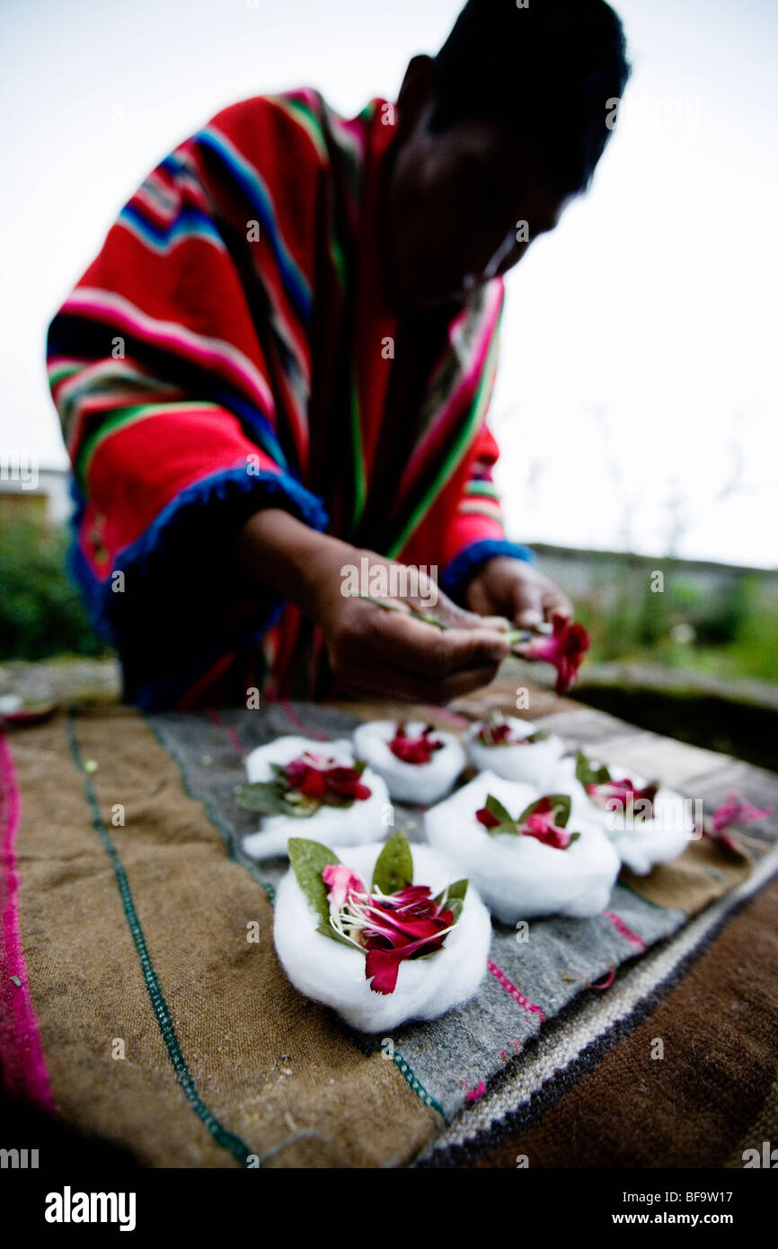 Kallawaya-shaman (herbal medicine man) praparing for a ritual in ...