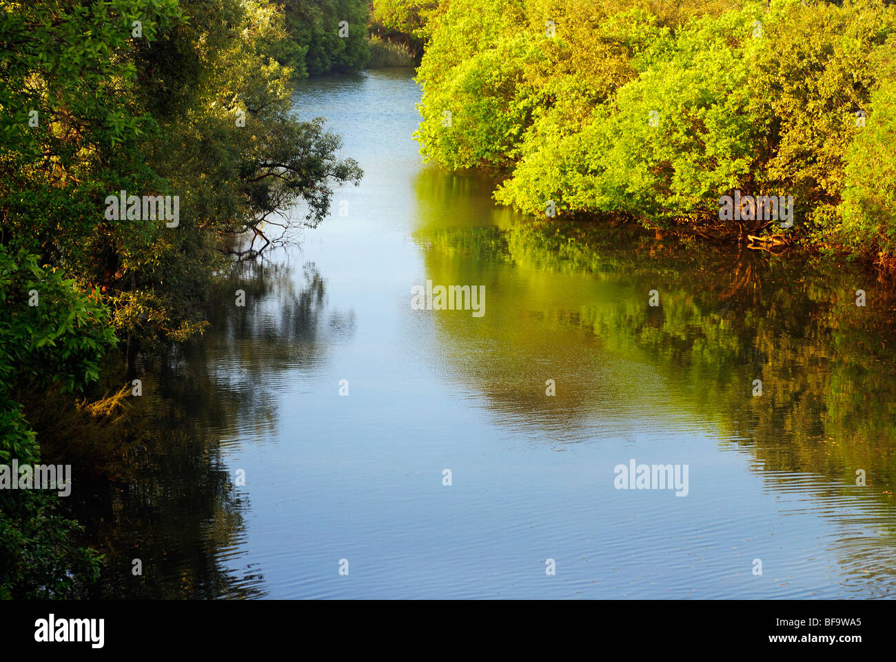 Perennial river hi-res stock photography and images - Alamy